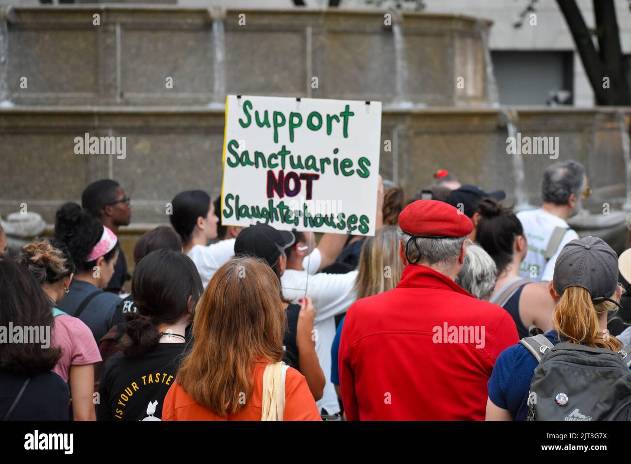 Rally participant is holding an animal anti-abuse sign in front of the ... Rally participant is holding an animal anti-abuse sign in front of the ...
