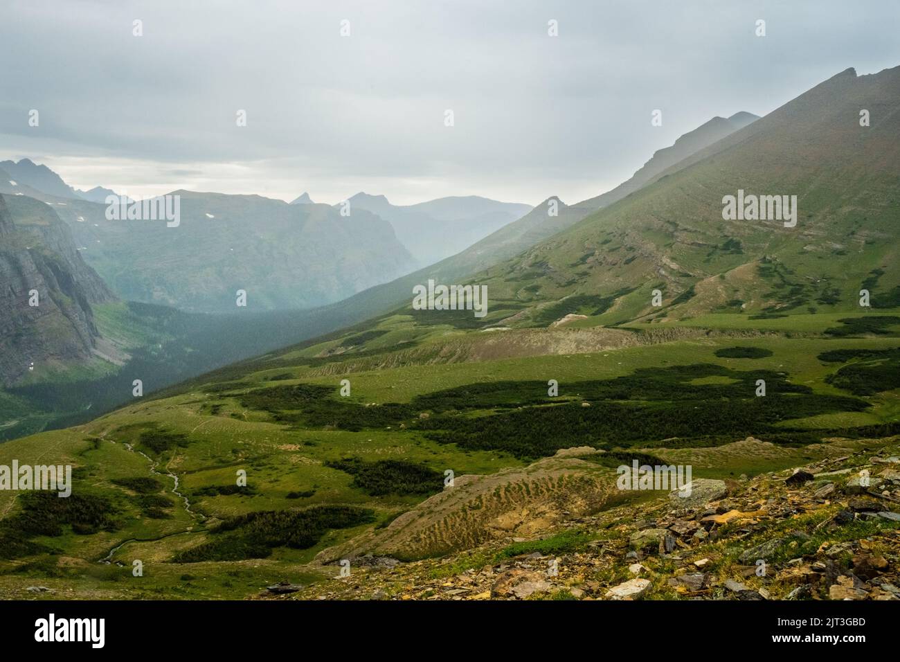 Open Meadow Just Below Piegan Pass in Glacier National Park Stock Photo ...