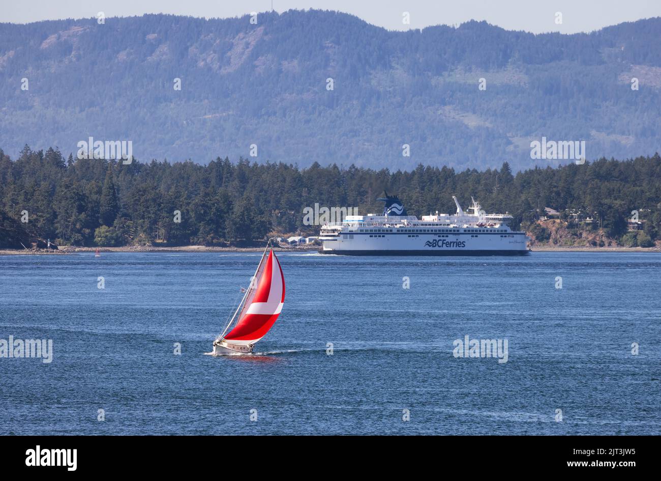 Sailboat and BC Ferries Passing By the islands on the West Coast of ...