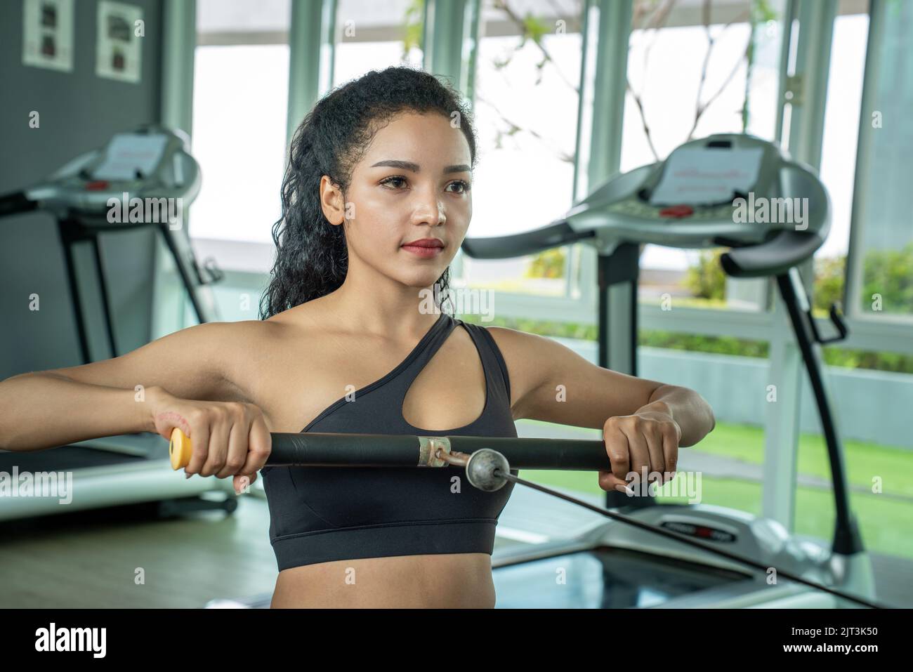 beautiful muscular fit woman exercising building muscles. Muscular ...