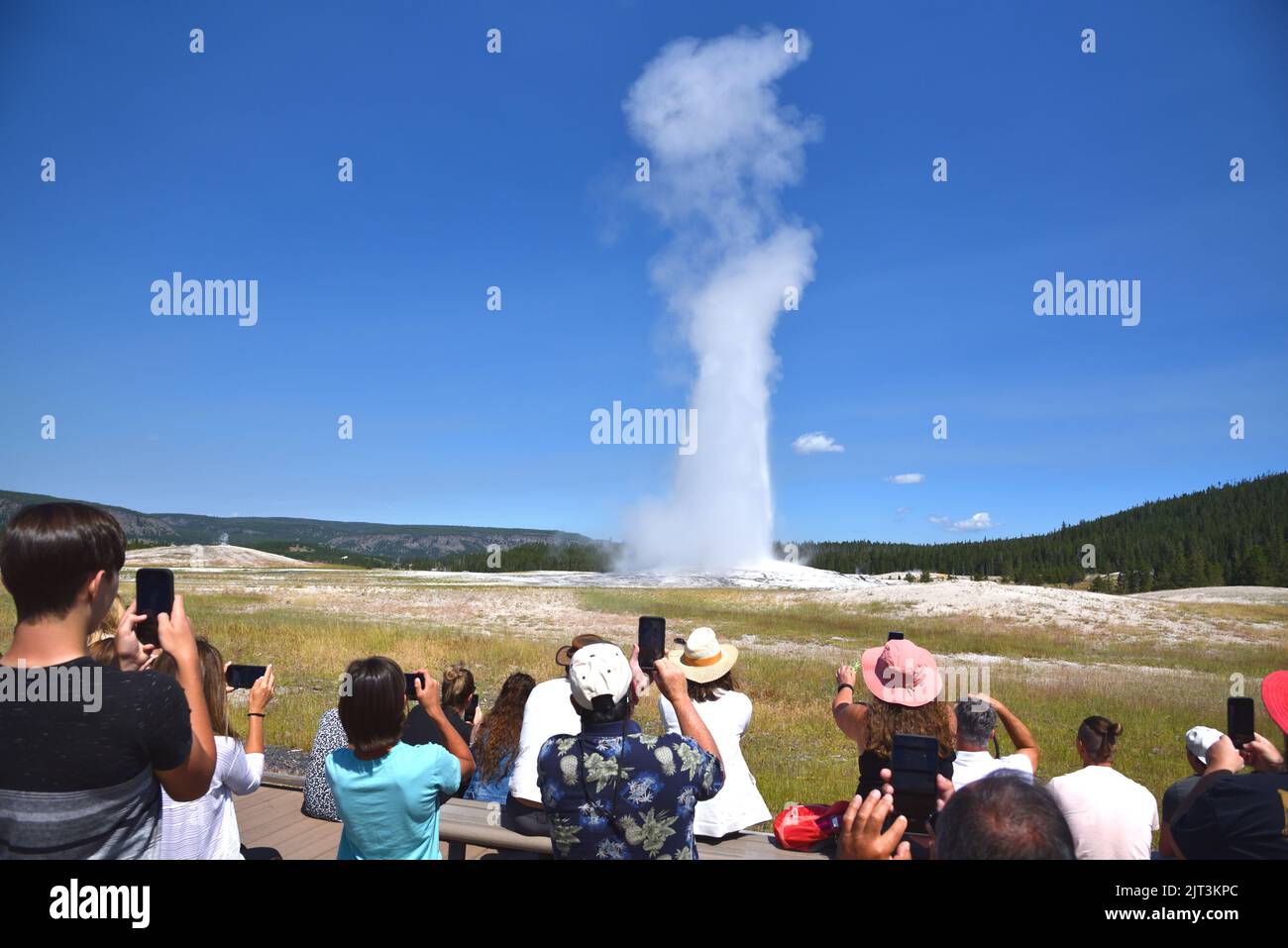 Old Faithful Geyser in Yellowstone National Park Stock Photo - Alamy