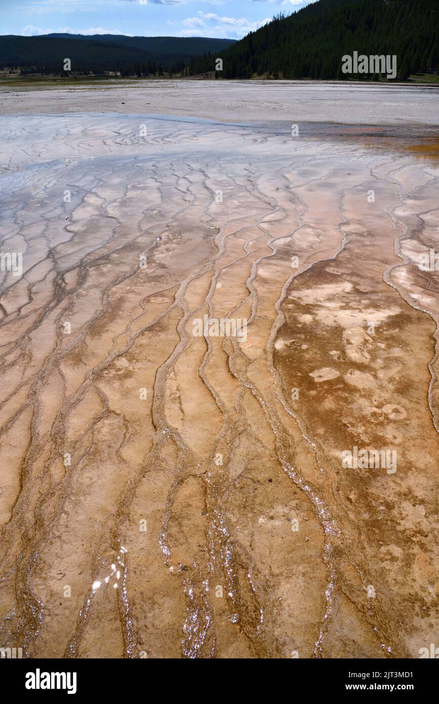 Yellowstone National Park springs Stock Photo - Alamy