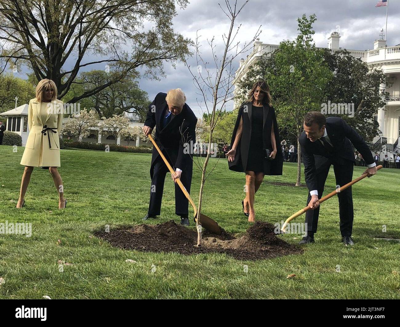 Trump and Macron plant a tree Stock Photo - Alamy