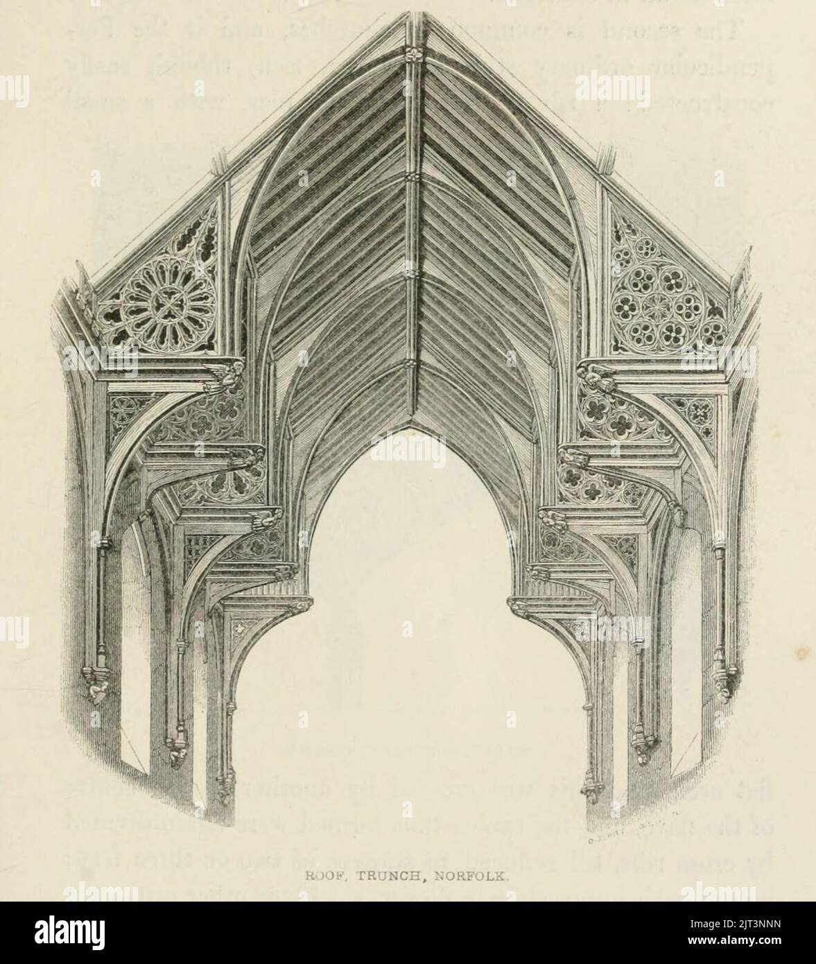 Trunch hi-res stock photography and images - Alamy