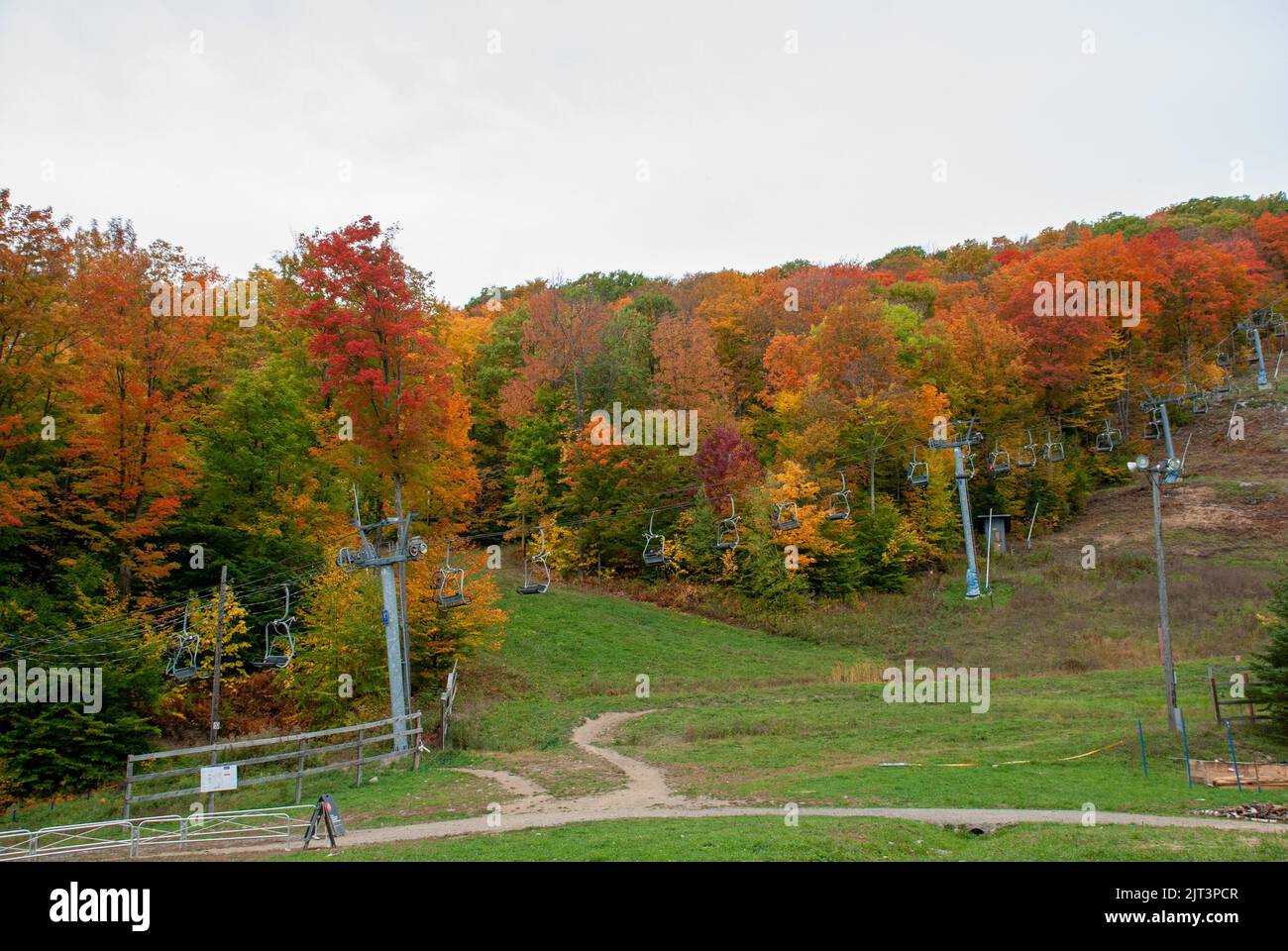 Autumn landscape with trees in Bromont, Quebec, Canada Stock Photo - Alamy