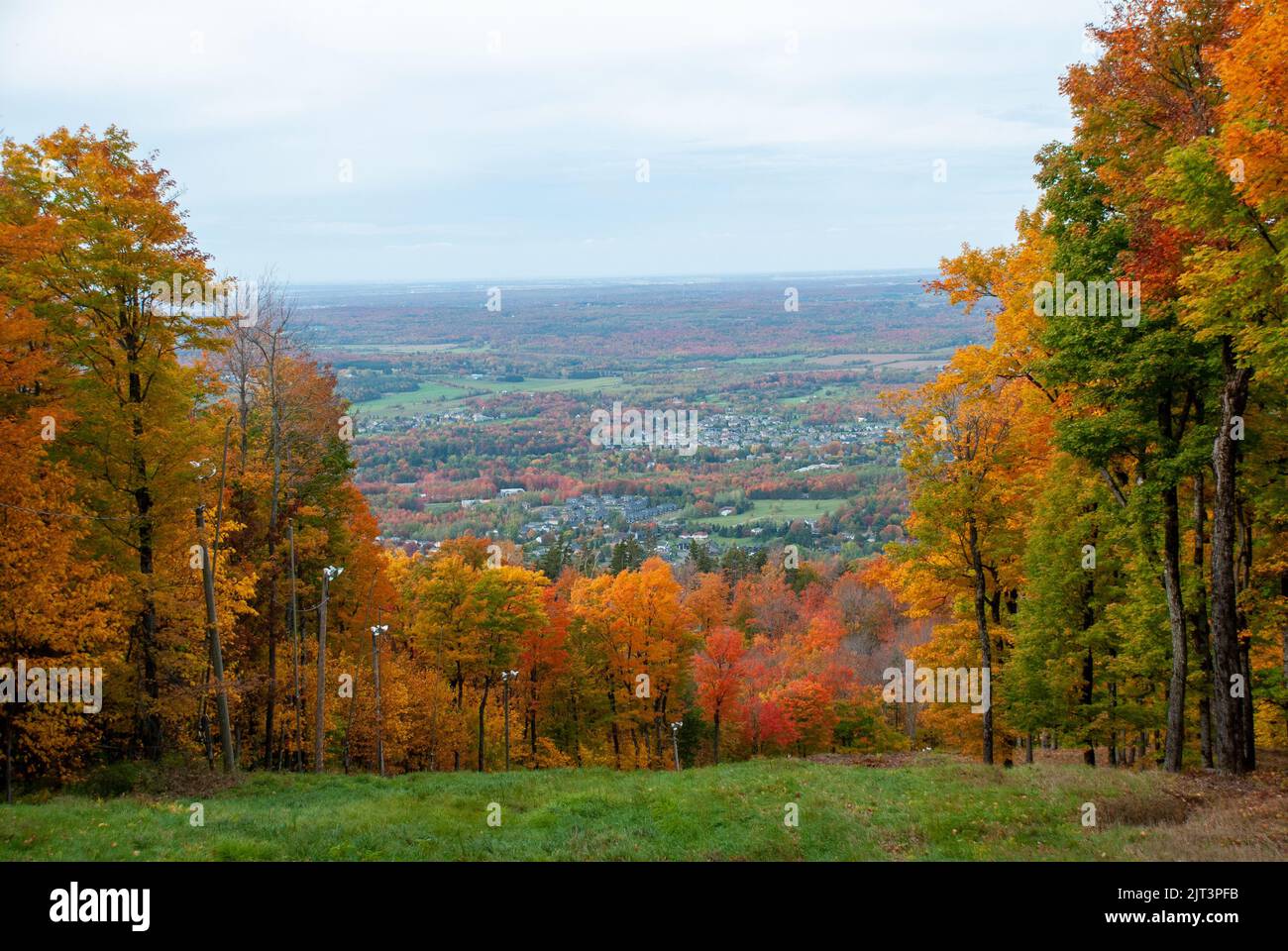 Autumn landscape with trees in Bromont, Quebec, Canada Stock Photo - Alamy