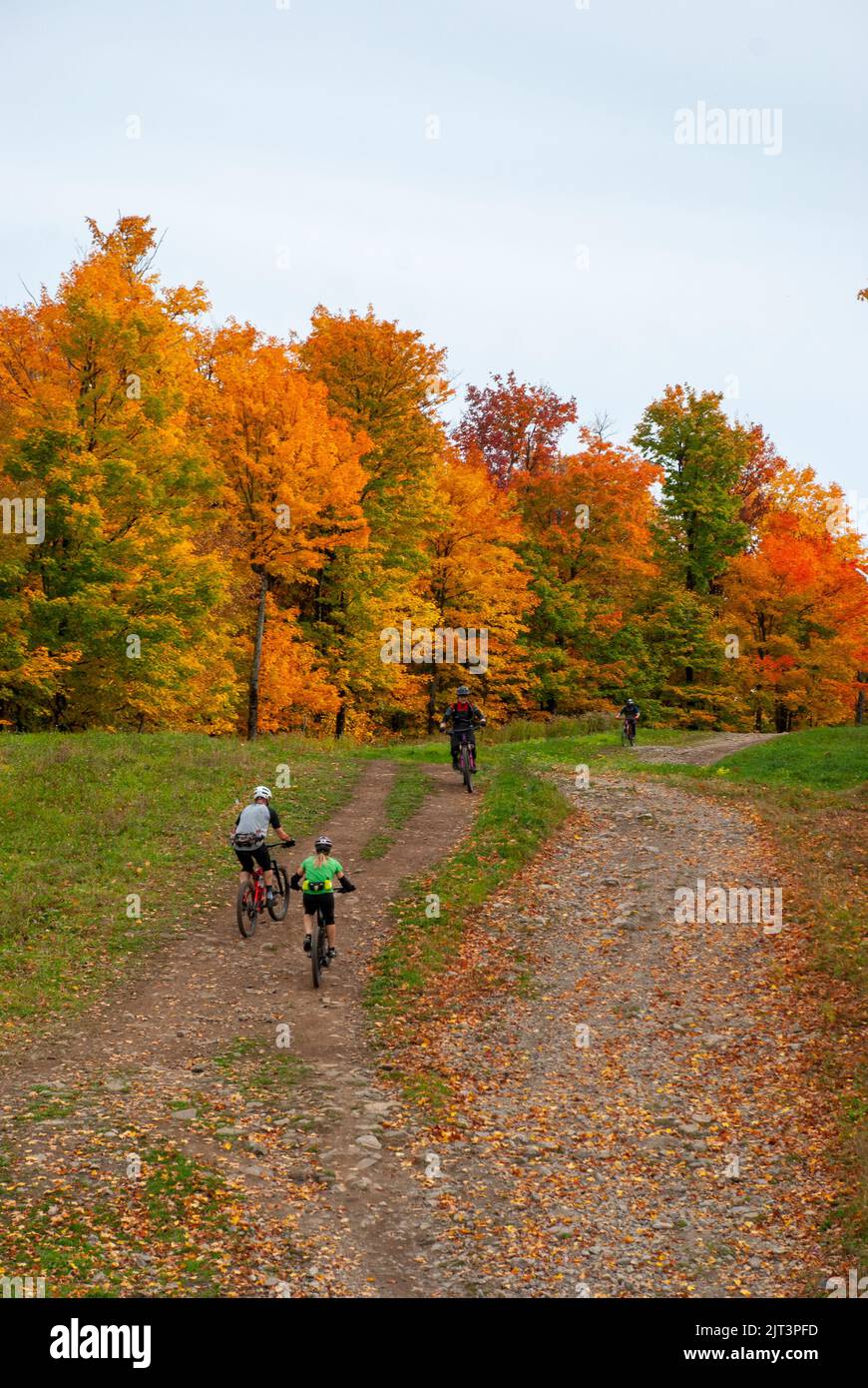 Autumn landscape with trees in Bromont, Quebec, Canada Stock Photo - Alamy