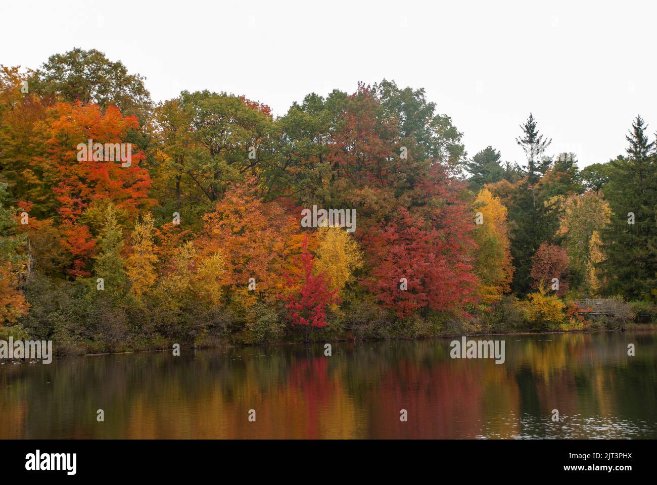 Fall foliage Mont-Saint-Bruno, Quebec, Canada Stock Photo - Alamy