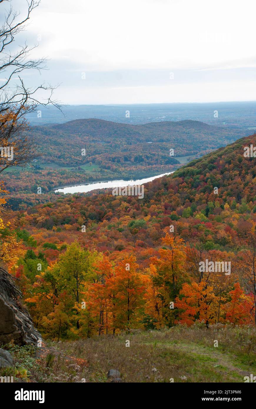 Autumn landscape with trees in Bromont, Quebec, Canada Stock Photo - Alamy