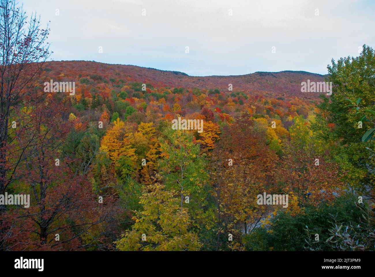Fall foliage near Sutton, Quebec, Canada Stock Photo - Alamy