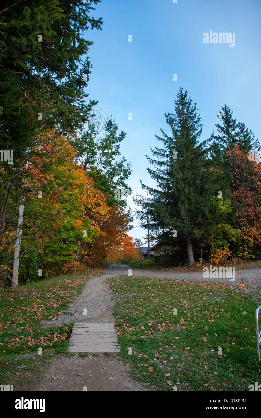 Fall foliage near Sutton, Quebec, Canada Stock Photo - Alamy