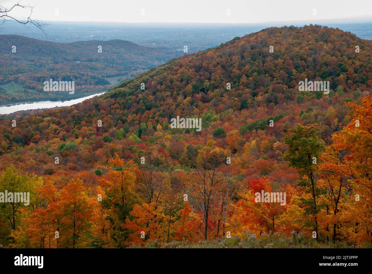 Autumn landscape with trees in Bromont, Quebec, Canada Stock Photo - Alamy