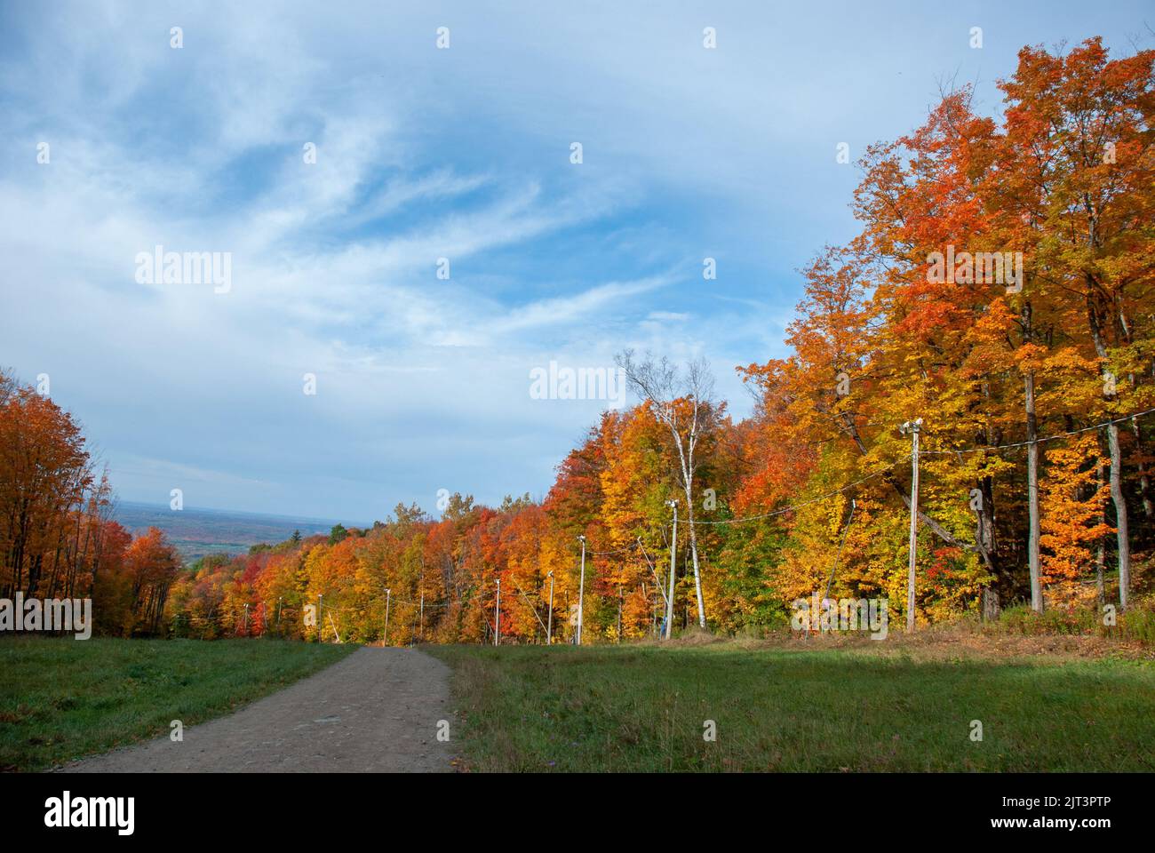 Autumn landscape with trees in Bromont, Quebec, Canada Stock Photo - Alamy