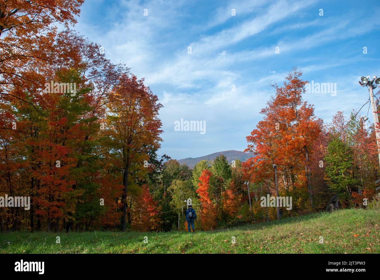 Autumn landscape with trees in Bromont, Quebec, Canada Stock Photo - Alamy