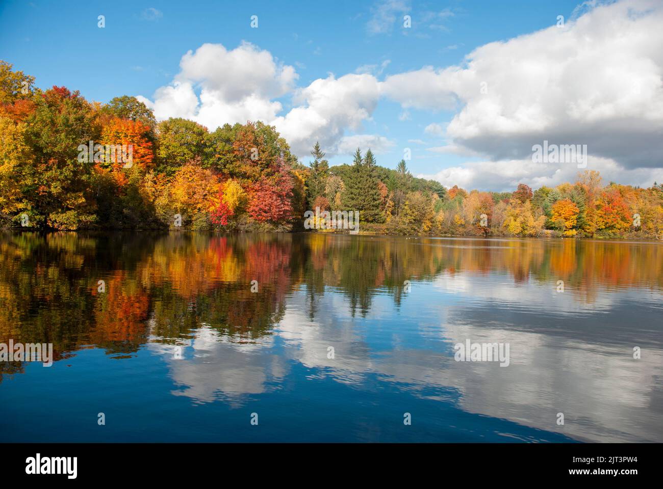 Fall foliage Mont-Saint-Bruno, Quebec, Canada Stock Photo - Alamy