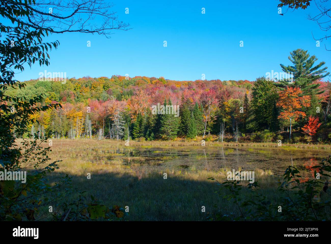 The colours of fall by exploring the Mont Orford national park, Quebec ...