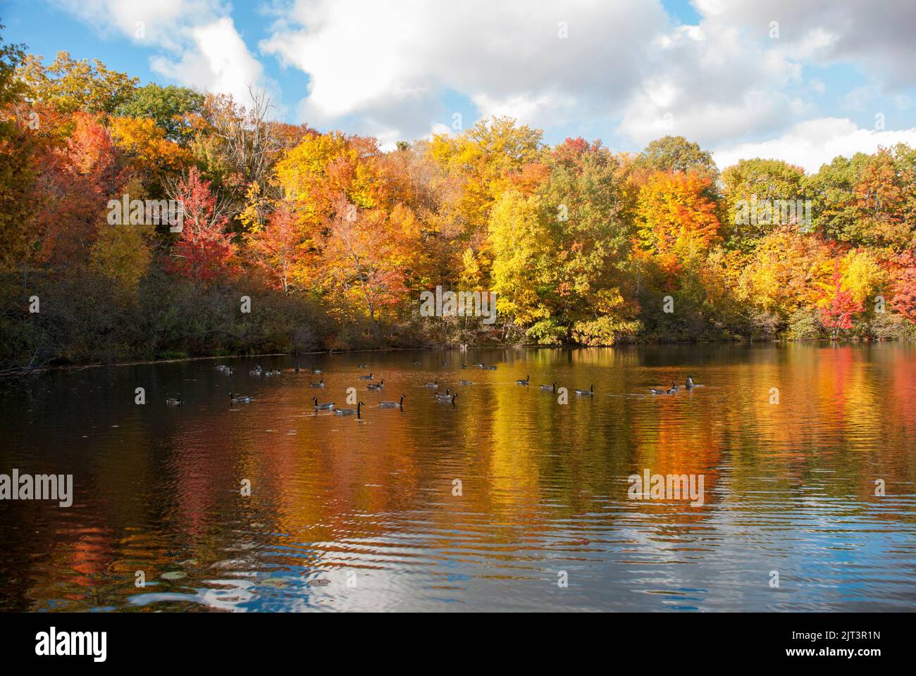 Fall foliage Mont-Saint-Bruno, Quebec, Canada Stock Photo - Alamy