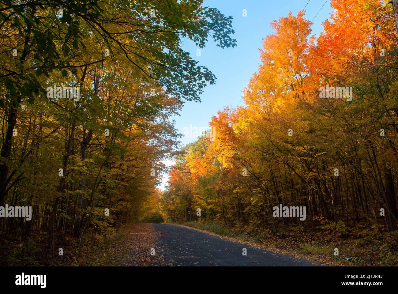 Fall foliage Mont-Saint-Bruno, Quebec, Canada Stock Photo - Alamy