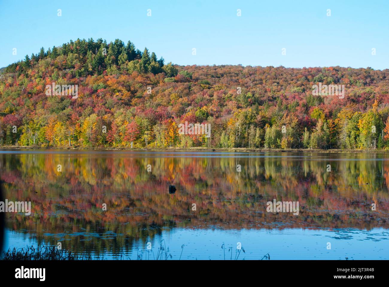 The colours of fall by exploring the Mont Orford national park, Quebec ...