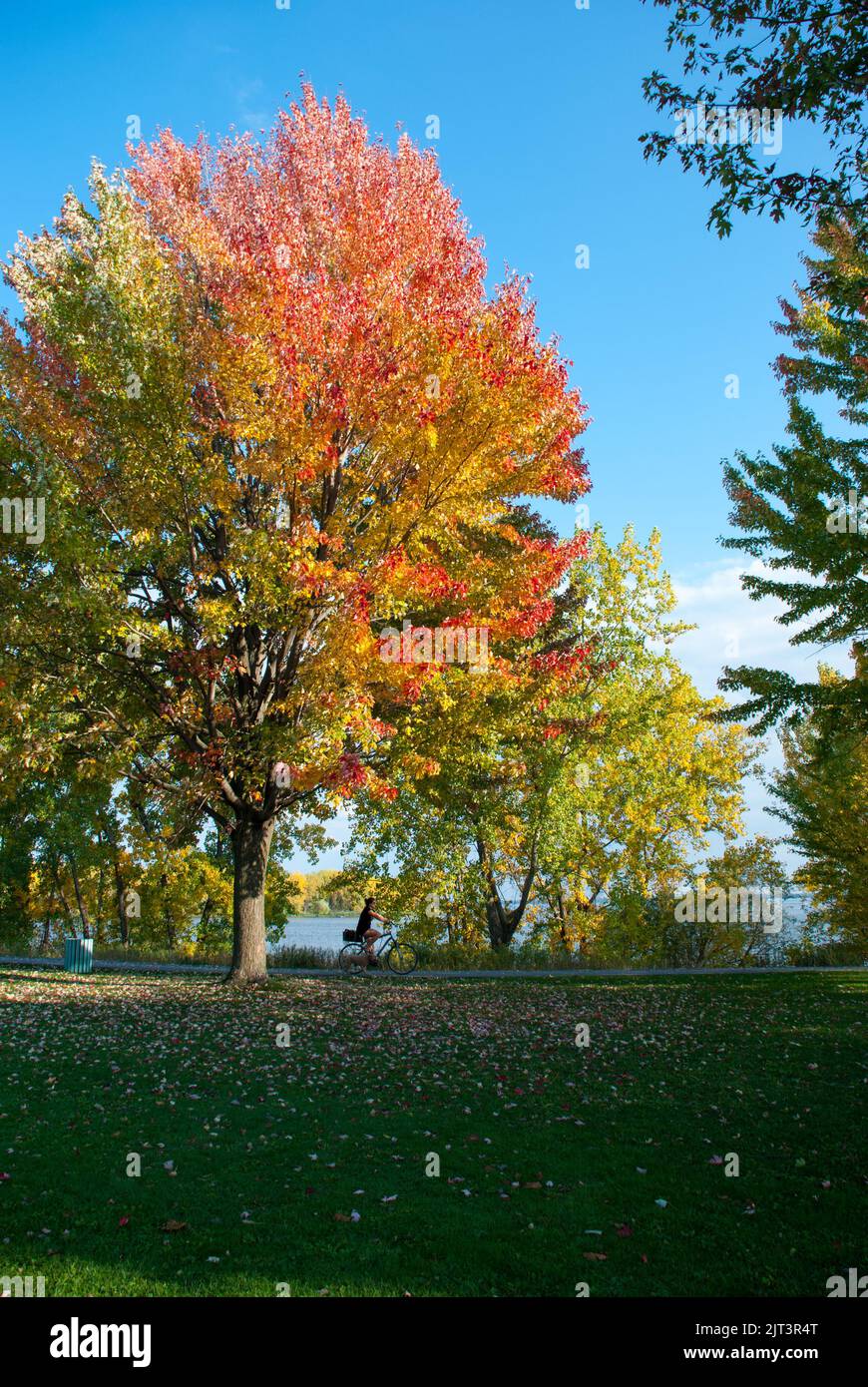 Autumn in Montreal, Quebec, Canada Stock Photo - Alamy