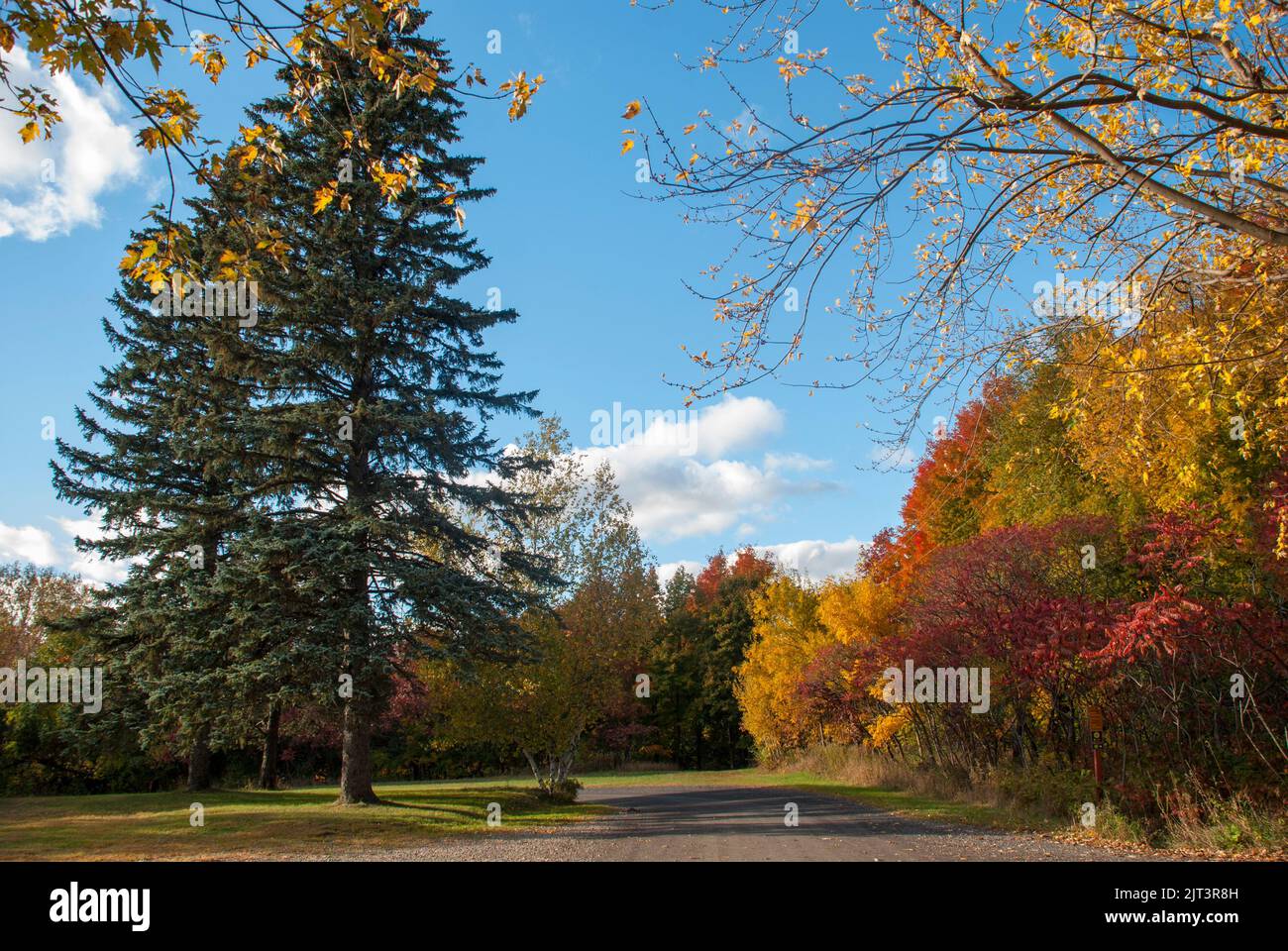 Fall foliage Mont-Saint-Bruno, Quebec, Canada Stock Photo - Alamy