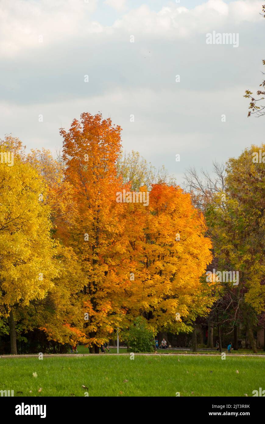 Fall foliage Mont-Saint-Bruno, Quebec, Canada Stock Photo - Alamy