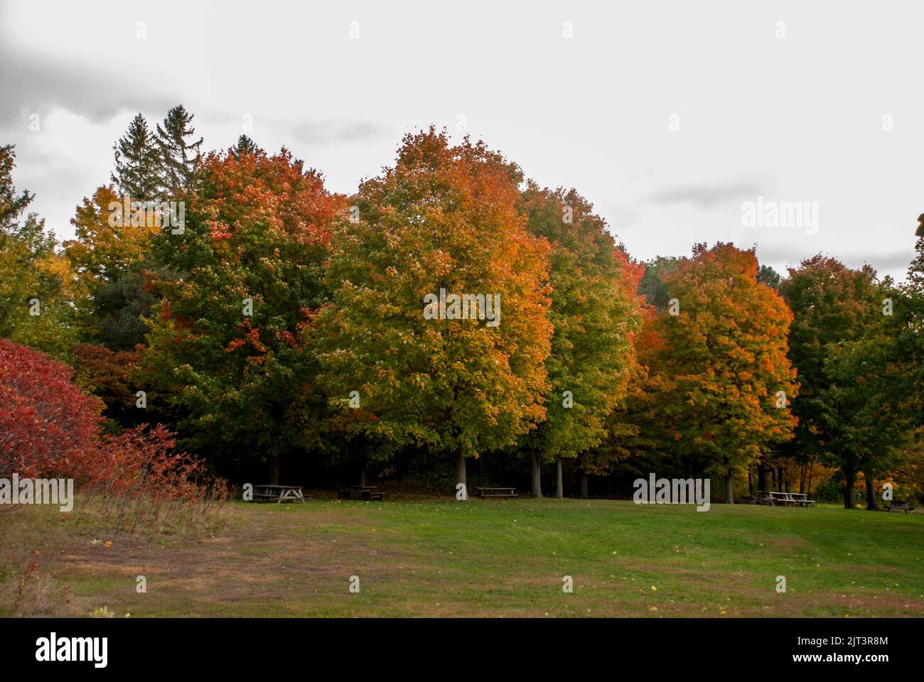 Fall foliage Mont-Saint-Bruno, Quebec, Canada Stock Photo - Alamy