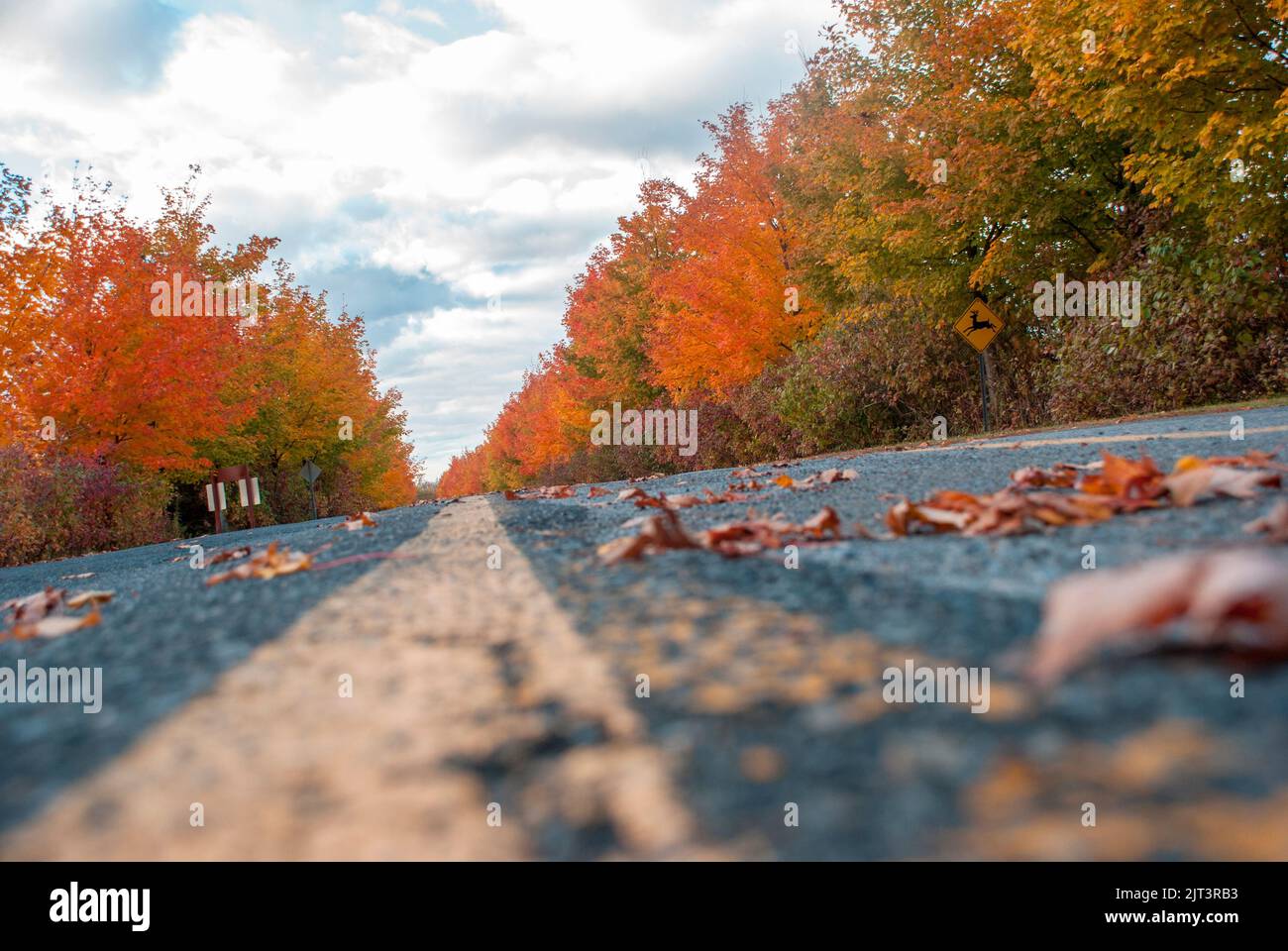 Fall foliage Mont-Saint-Bruno, Quebec, Canada Stock Photo - Alamy