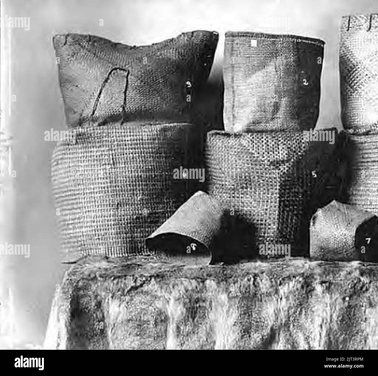 Tsimshian cedar bark baskets displayed on fur-covered table, circa 1910 ...
