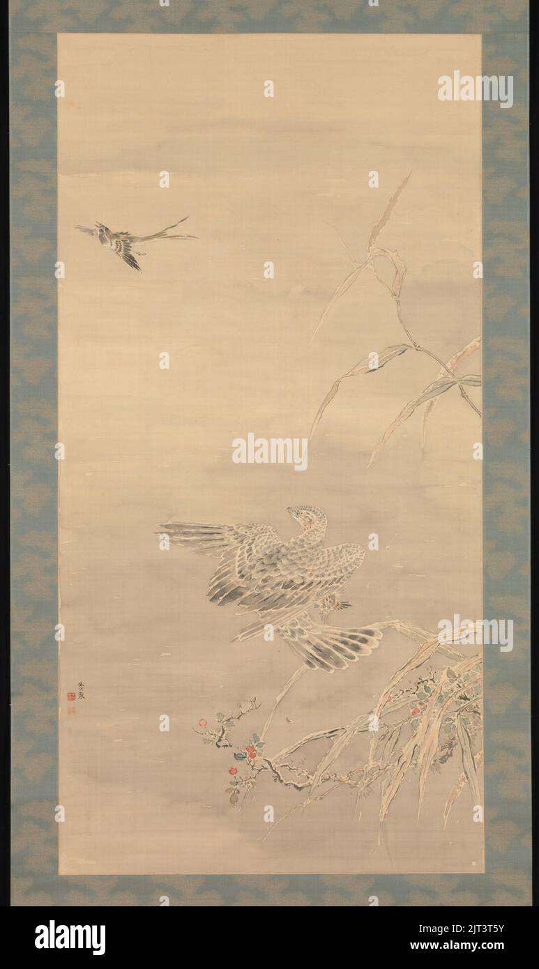 Tsubaki Chinzan - Hawk Grasping a Small Bird Stock Photo - Alamy