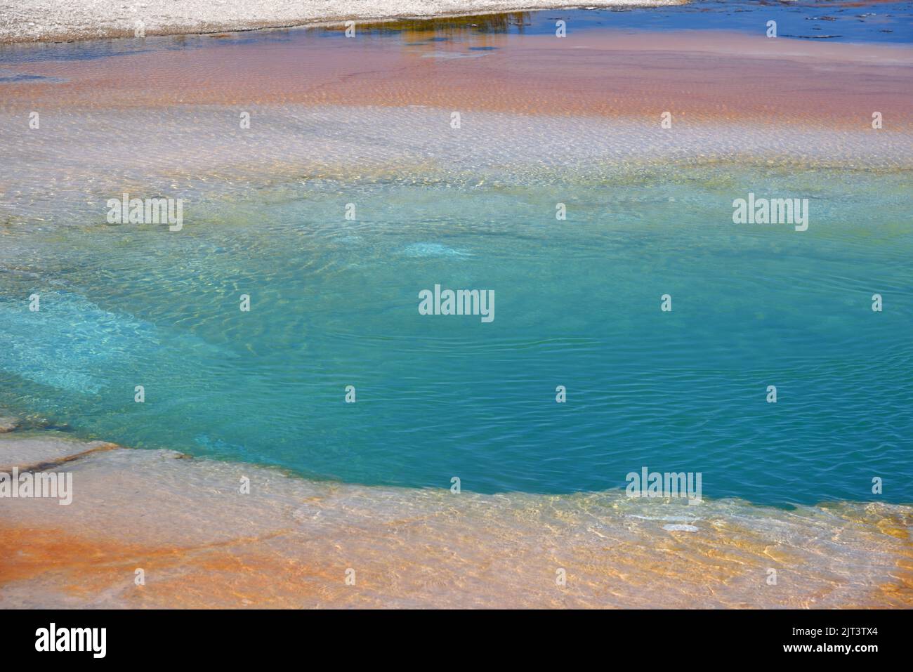 Yellowstone National Park Grand Prismatic Spring Stock Photo - Alamy