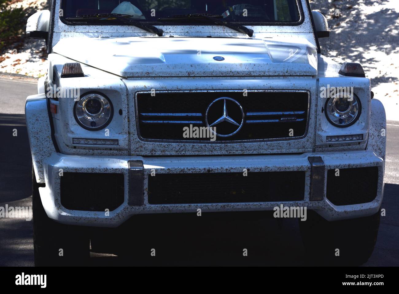 Mercedes G wagon covered in bugs Stock Photo - Alamy