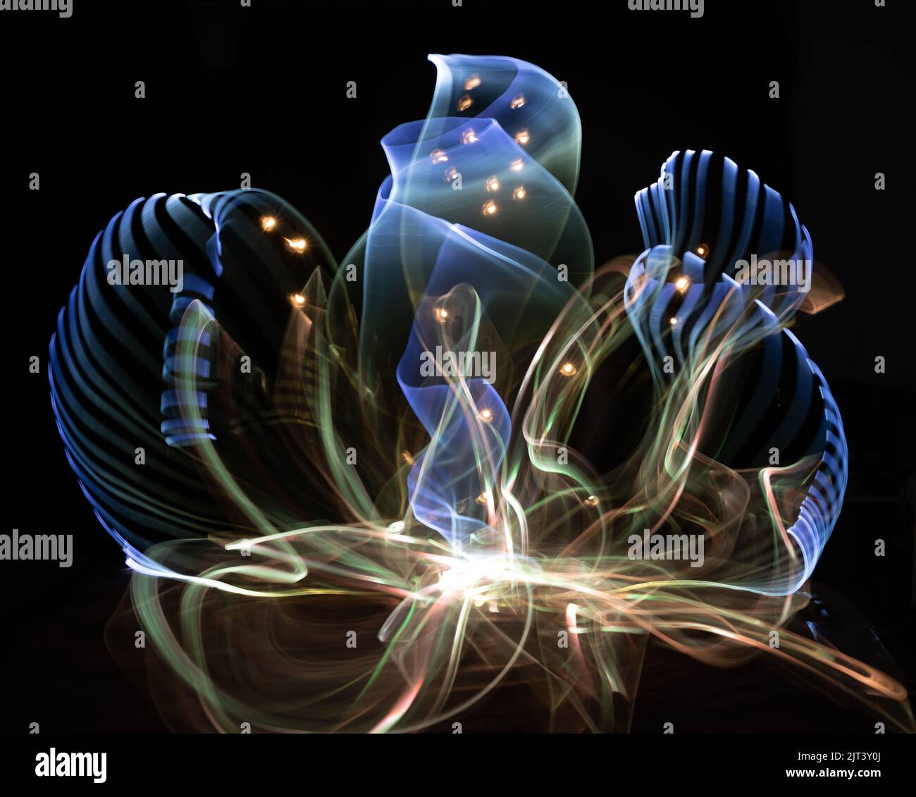 Abstract art made with light. Light plants. light painting photography ...