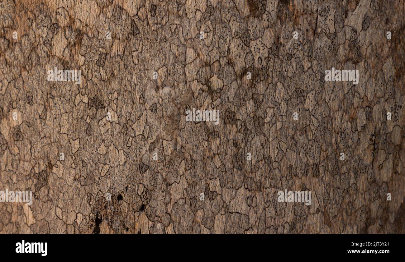Rustic stone wall lines hi-res stock photography and images - Alamy