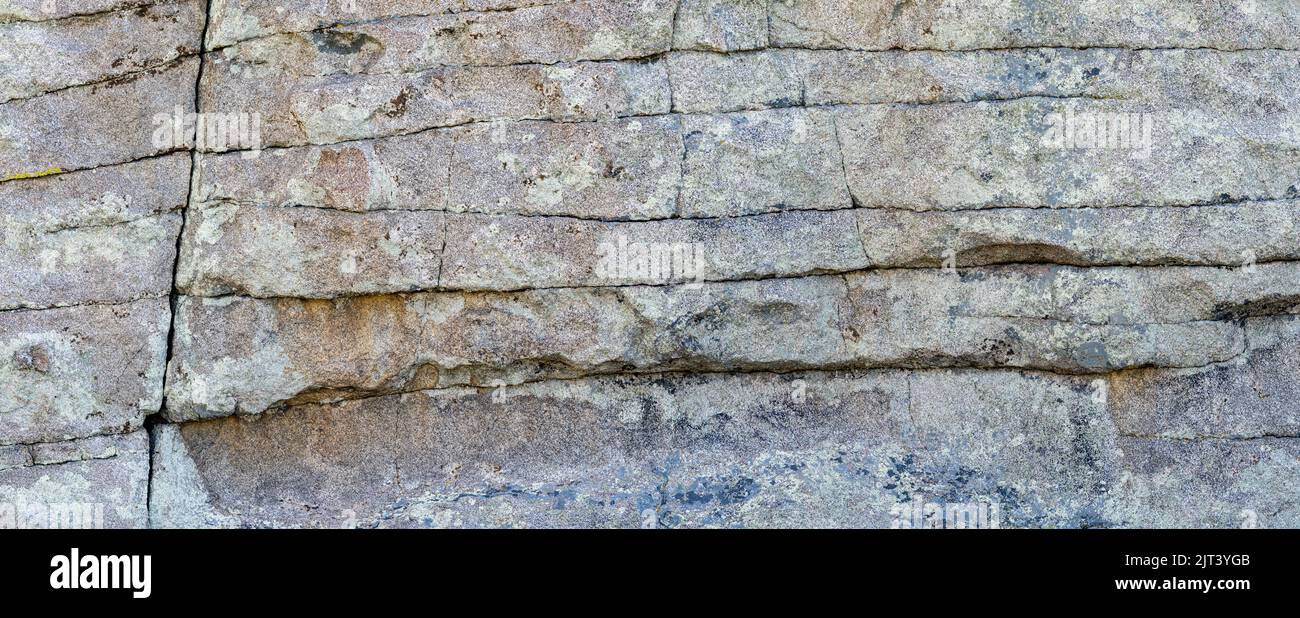 Detail of the geometry of cracks on a rock at Castle Rocks State Park ...