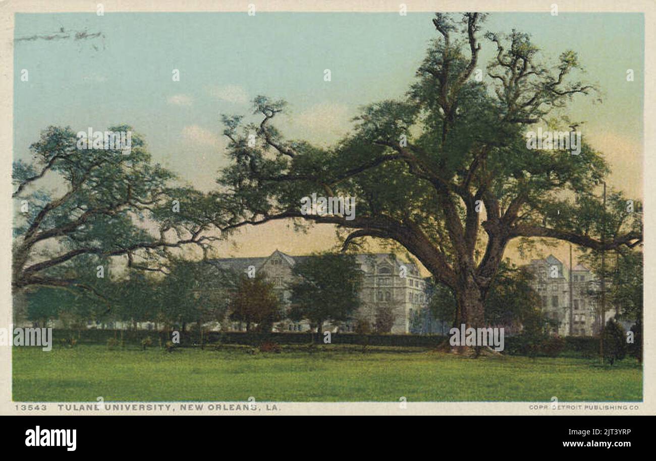 At tulane university hi-res stock photography and images - Alamy