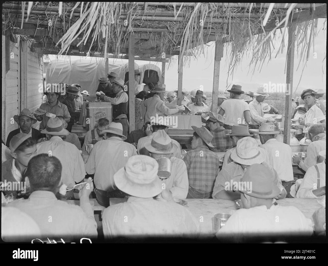 Tule Lake Relocation Center, Newell, California. A view in the lunch ...