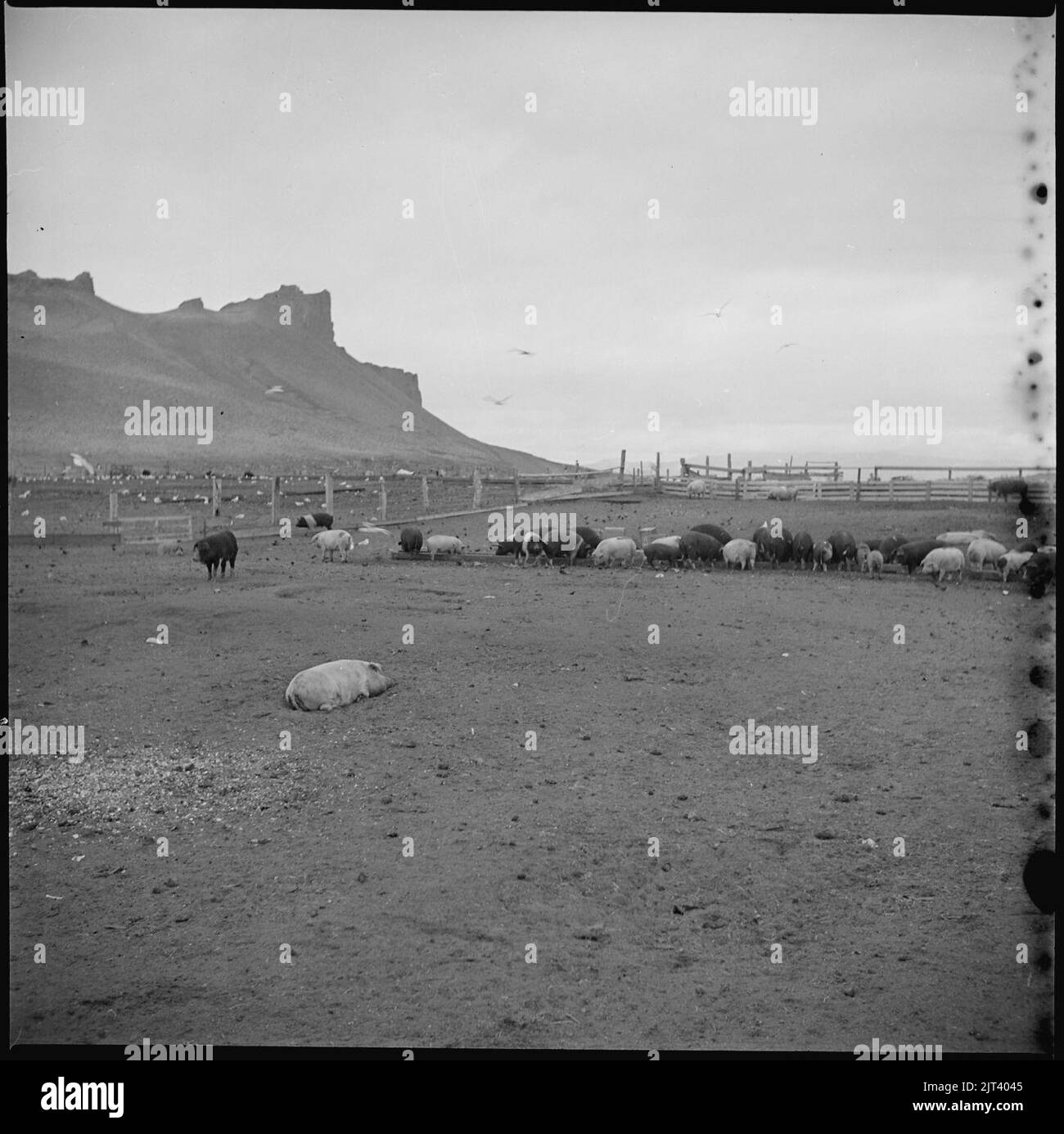 Tule Lake Relocation Center, Newell, California. A view showing the ...