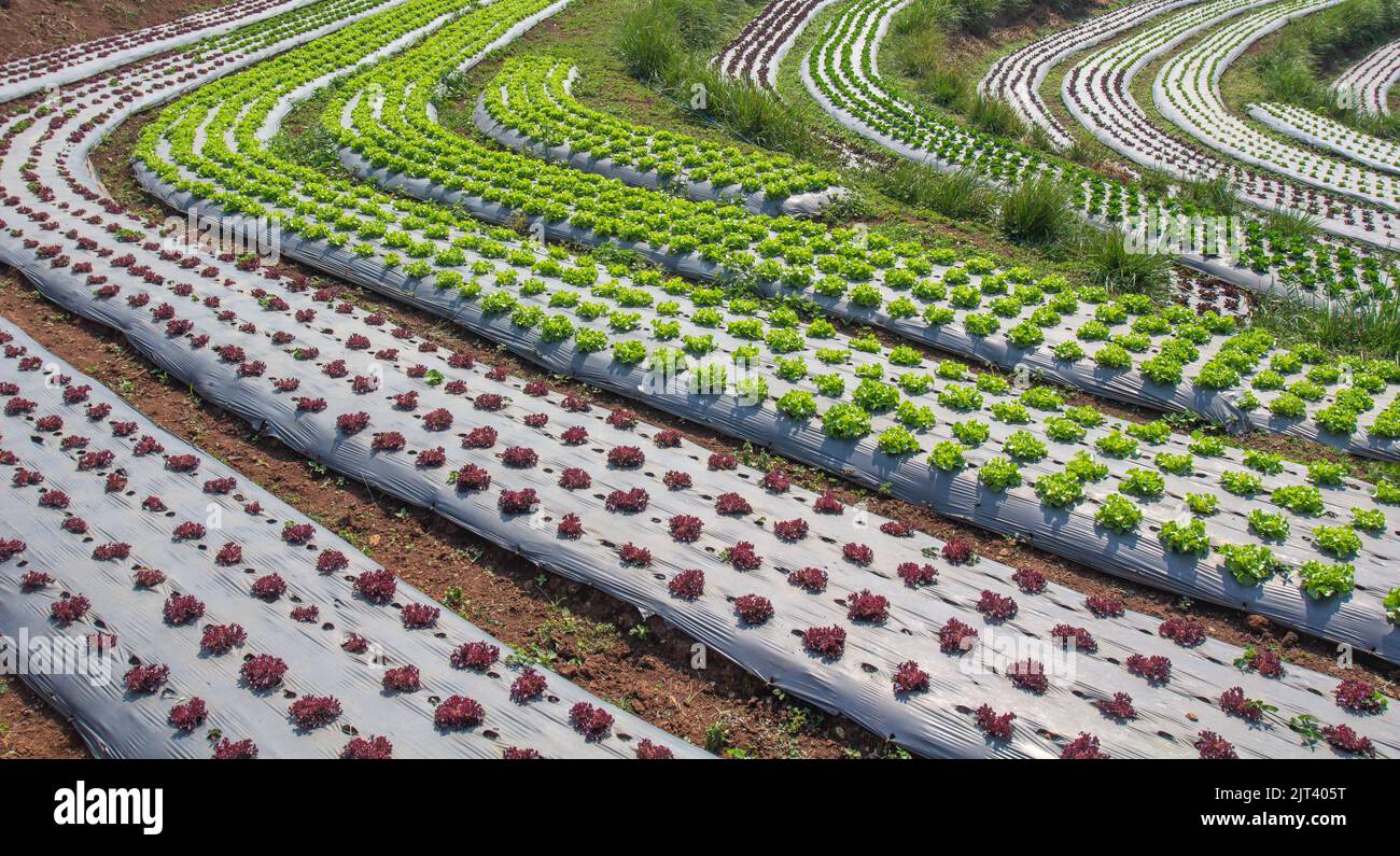 Global food shortages are growing due to the shock of the war in ...