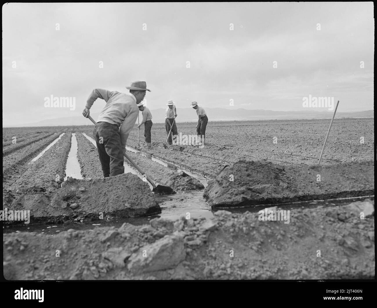 Tule Lake Relocation Center, Newell, California. Evacuee farm hands ...