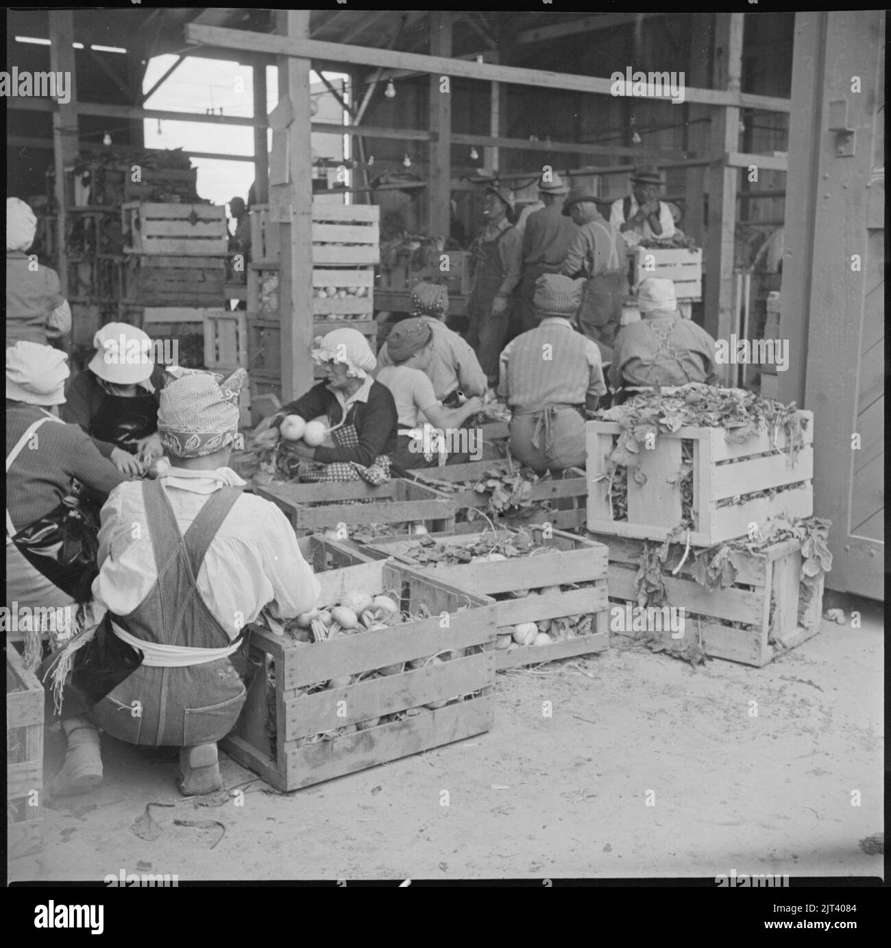 Tule Lake Relocation Center, Newell, California. Evacuee workers in the ...
