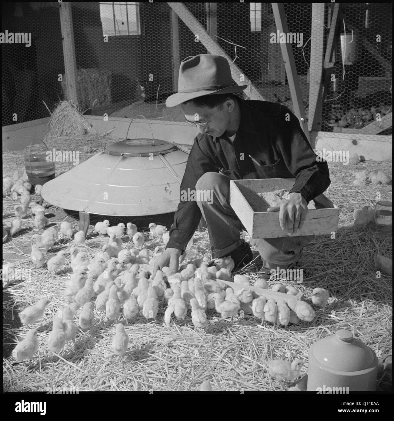 Tule Lake Relocation Center, Newell, California. Harry Makino, manager ...