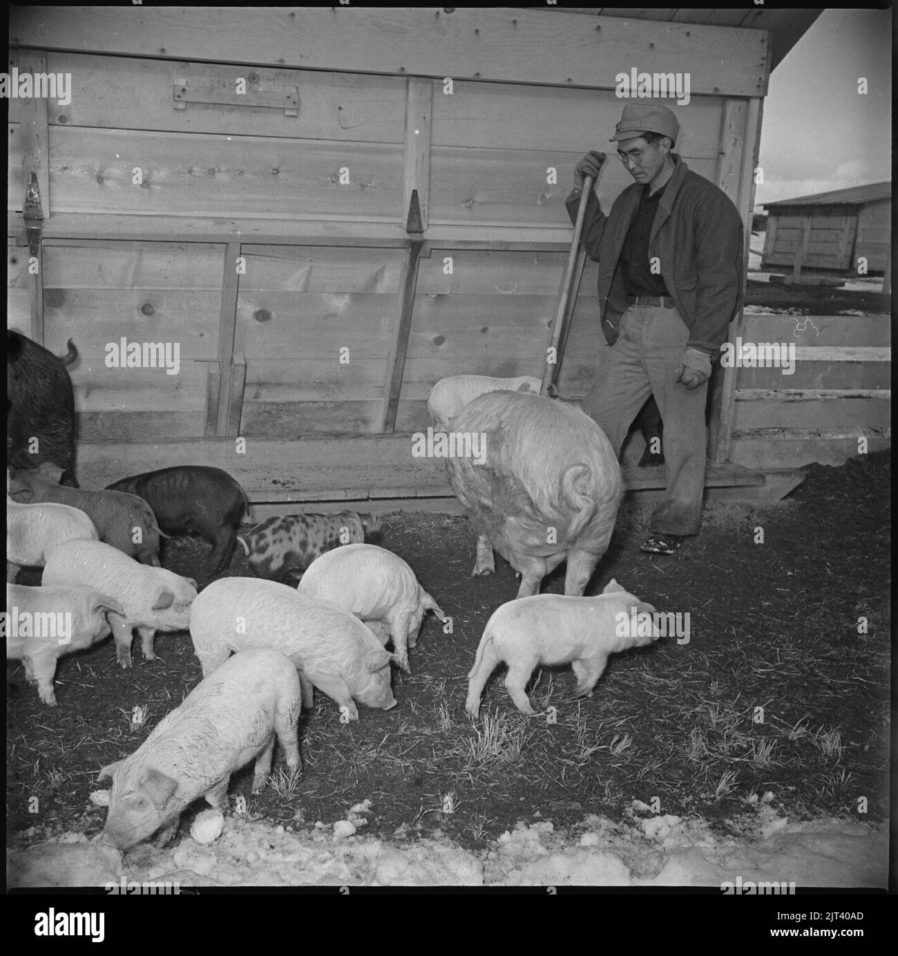 Tule Lake Relocation Center, Newell, California. Great care is given ...