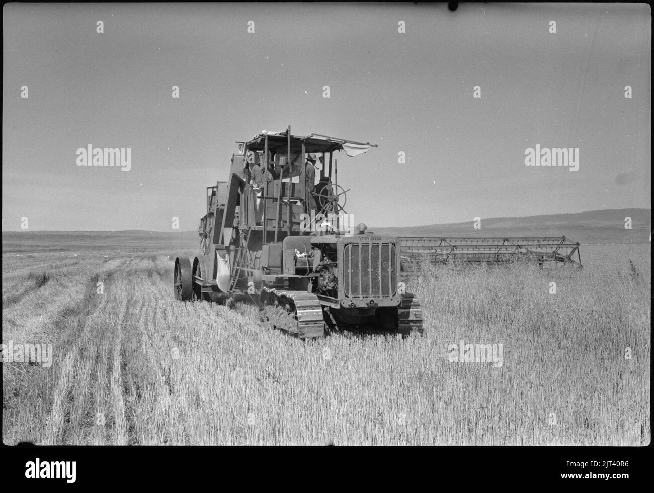 Tule Lake Segregation Center, Newell, California. A Holt Harvester ...