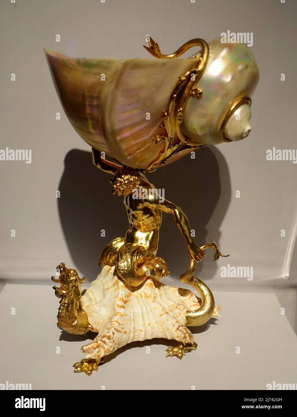 Turban snail hi-res stock photography and images - Alamy