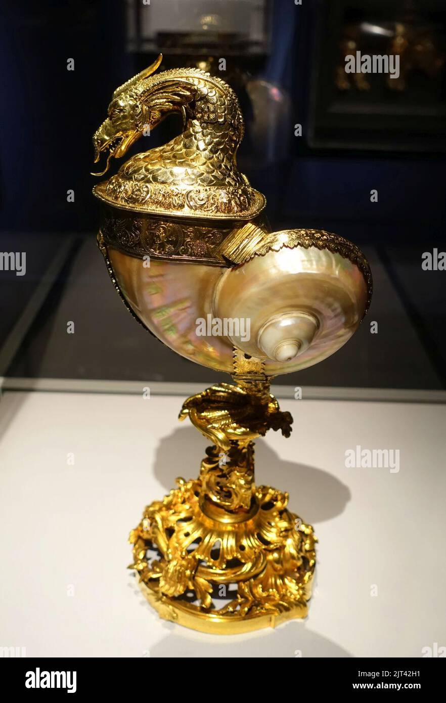 Turban snail hi-res stock photography and images - Alamy