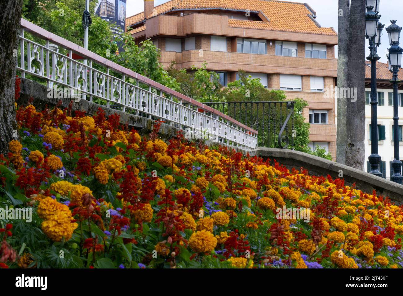 Guernica, Spain - Gernika-Lumo Flowers Stock Photo - Alamy