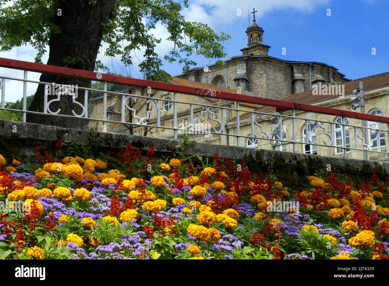 Guernica, Spain - Gernika-Lumo Plaza Flowers Stock Photo - Alamy