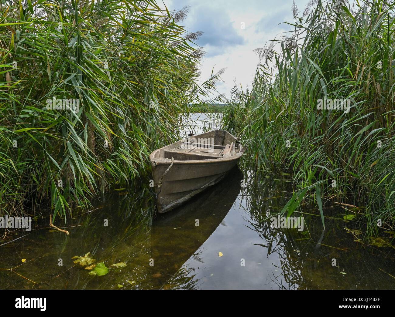 Friedrichsthal, Germany. 23rd Aug, 2022. Among the reeds on the Welse River lies the barge of ...
