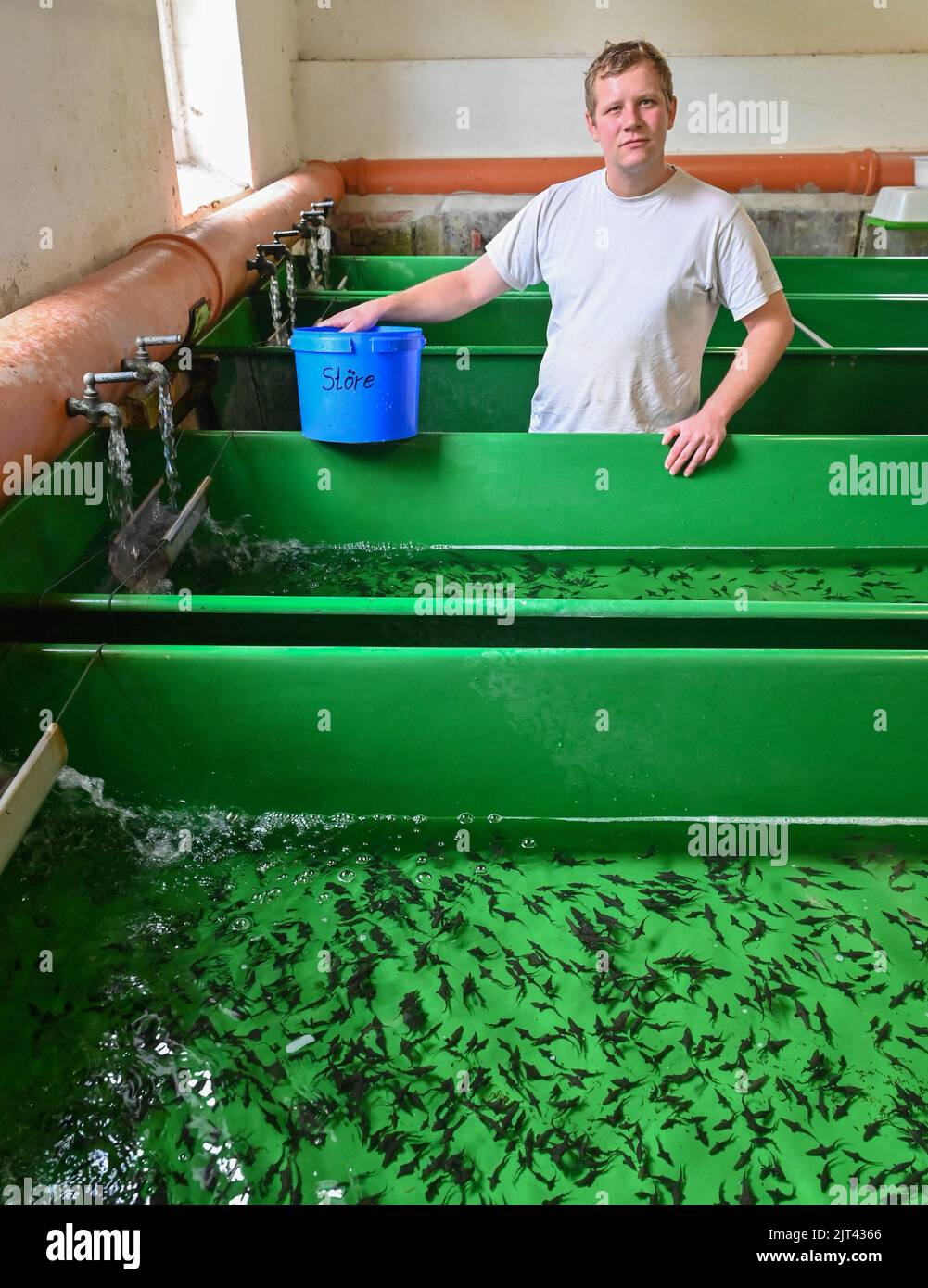 Fish rearing station hi-res stock photography and images - Alamy